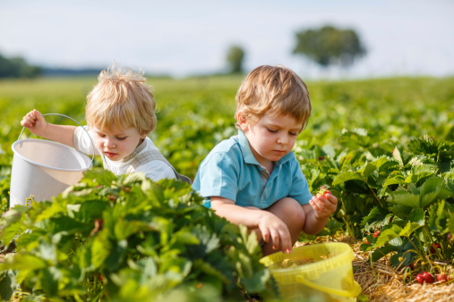 Healthy lifestyle begins during childhood | health enews