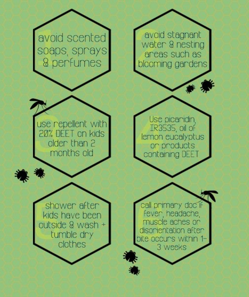 Infographic: Parent's guide to a bug-bite-free summer | health enews