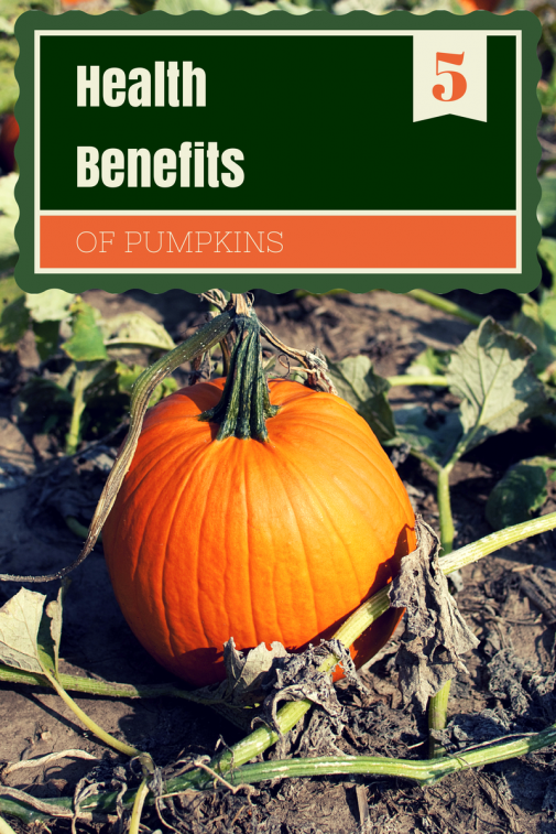 Infographic: 5 health benefits of pumpkins | health enews