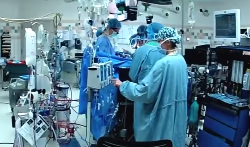 Heart Transplant Surgery:'No Room for Anything Less Than Perfection ...