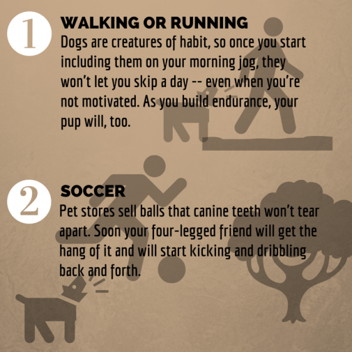 Infographic: 5 ways to workout with your dog | health enews