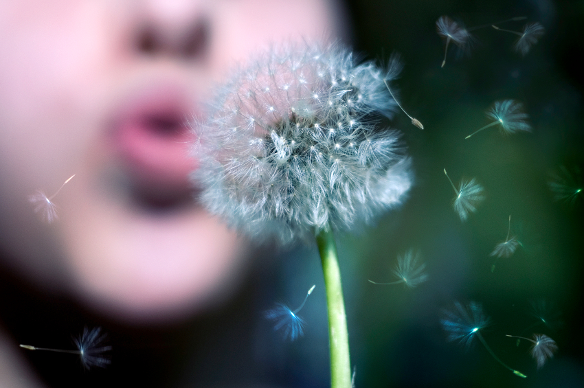 5 tips for managing spring allergies | health enews